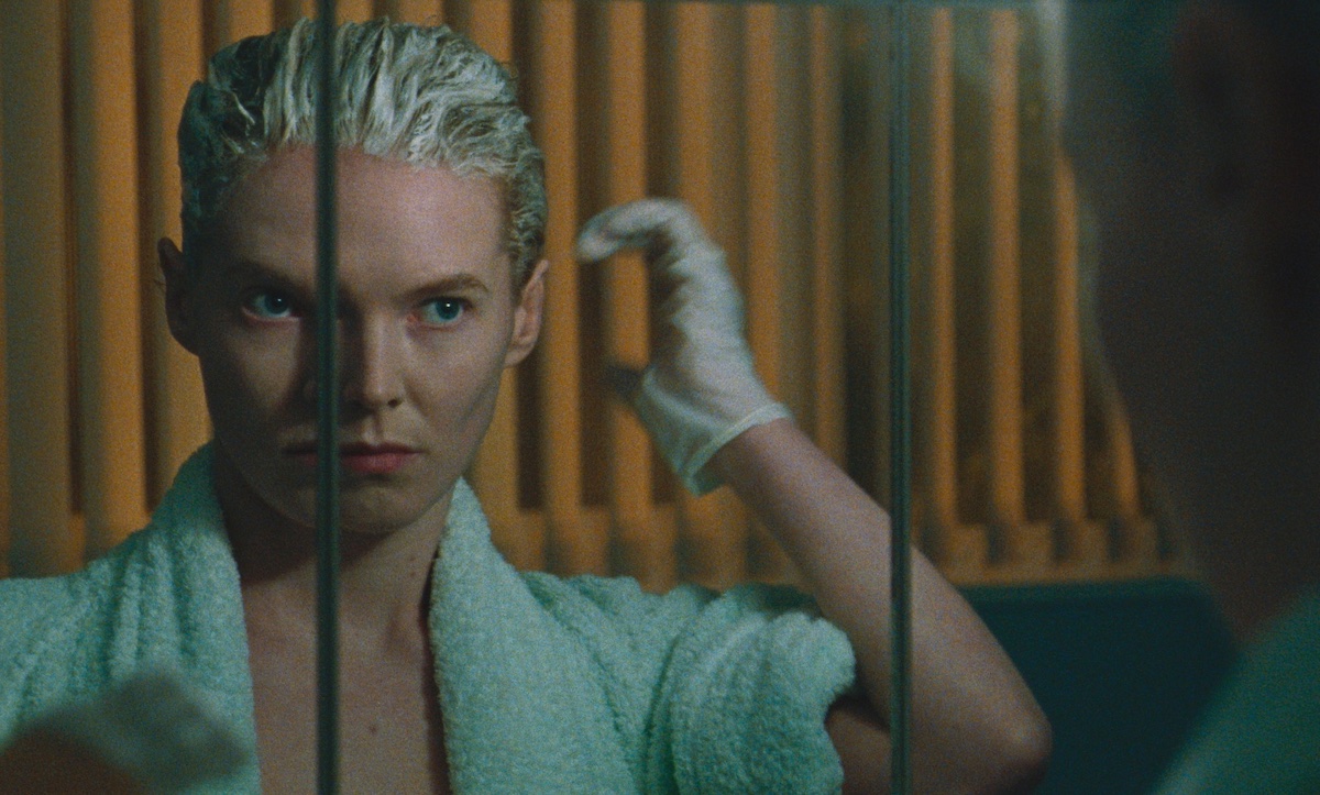 Toronto Film Festival 2022 Unveils Industry Selects - VIMooZ