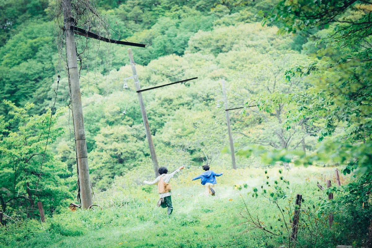 Films by Wes Anderson, Kore-eda Hirokazu, Todd Haynes on 2023 Cannes ...